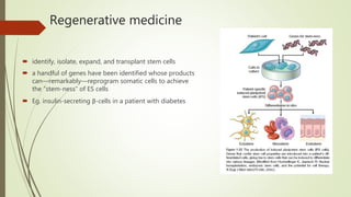Robbins Chapter 1.. Cell as a unit of health and disease | PPTX