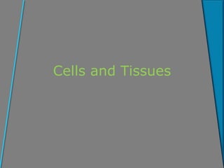 Cells and tissues | PPTX