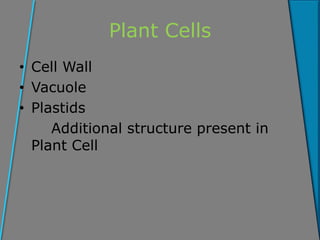 Cells and tissues | PPTX