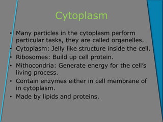 Cells and tissues | PPTX