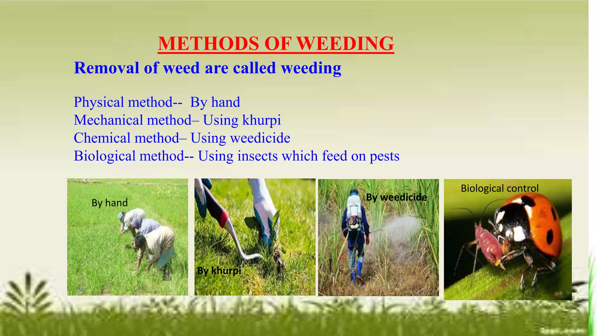 Ch 1 Crop Production and Management 1.pptx