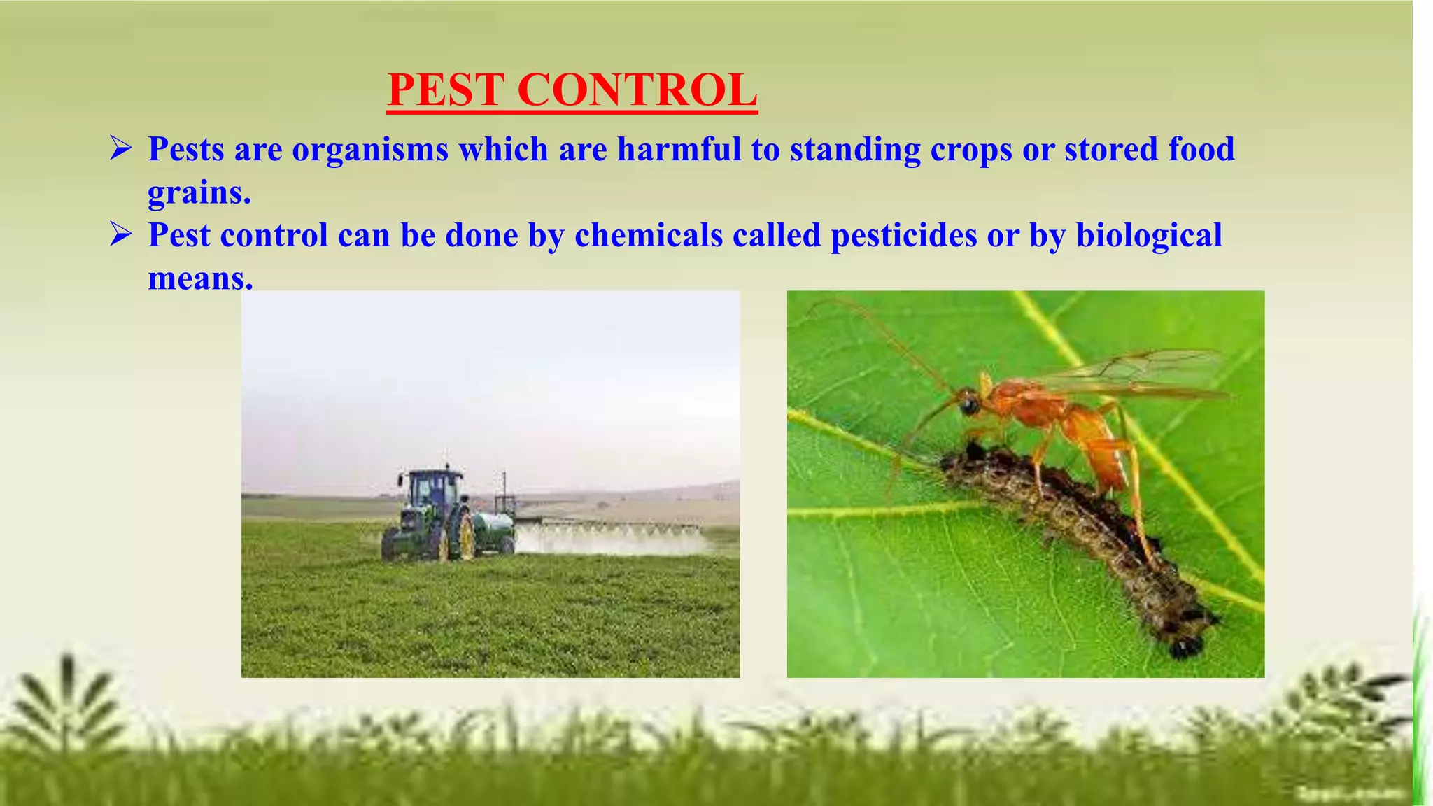 Ch 1 Crop Production and Management 1.pptx