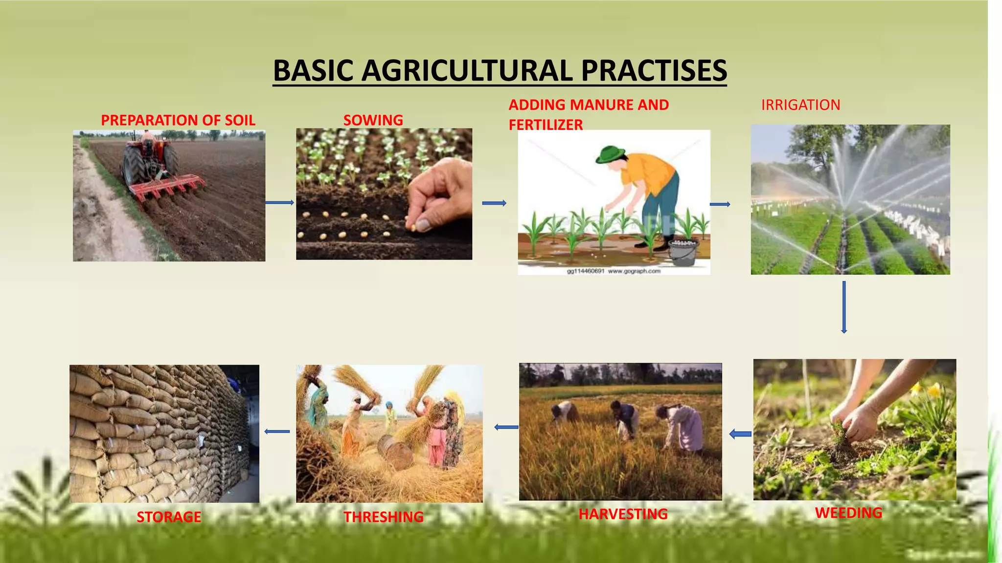 Ch 1 Crop Production and Management 1.pptx