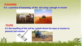 Ch 1 Crop Production and Management 1.pptx