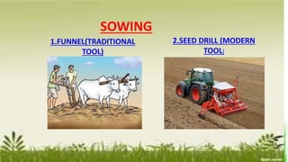 Ch 1 Crop Production and Management 1.pptx