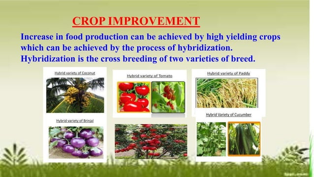 Ch 1 Crop Production and Management 1.pptx | Agriculture | Industries