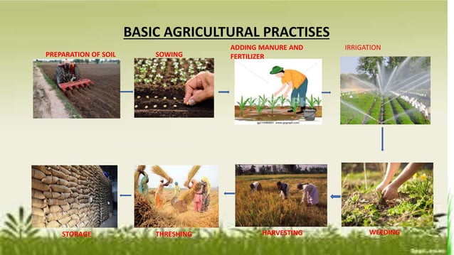 Ch 1 Crop Production and Management 1.pptx | Agriculture | Industries