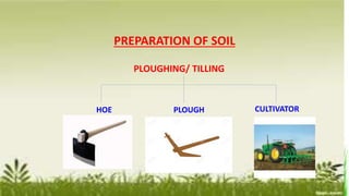Ch 1 Crop Production and Management 1.pptx