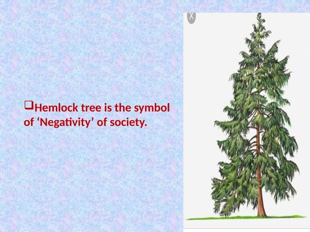 Ch 1 Dust of Snow Poem 1.pptxhhwjwnjebeniqhnw | PPT