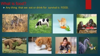 Ch 1 Food Where it Does Come From 1.pptx