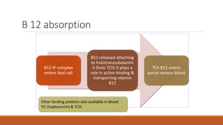 Ch 1 Hematological disorders - Megaloblastic anemia.pdf