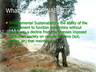 Enviromental science and enginnering with sustainability | PPT
