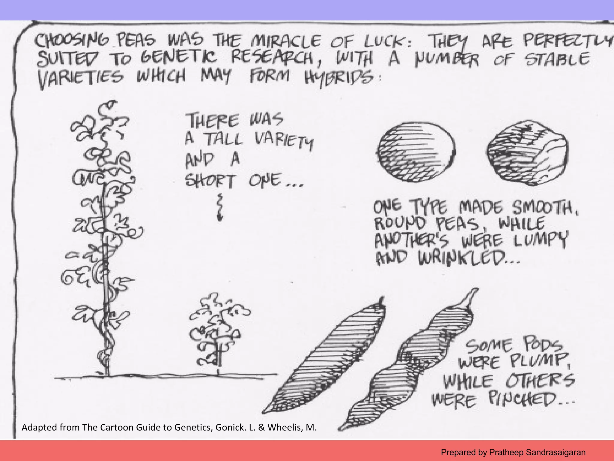 Ch1 introduction to genetics | PPT