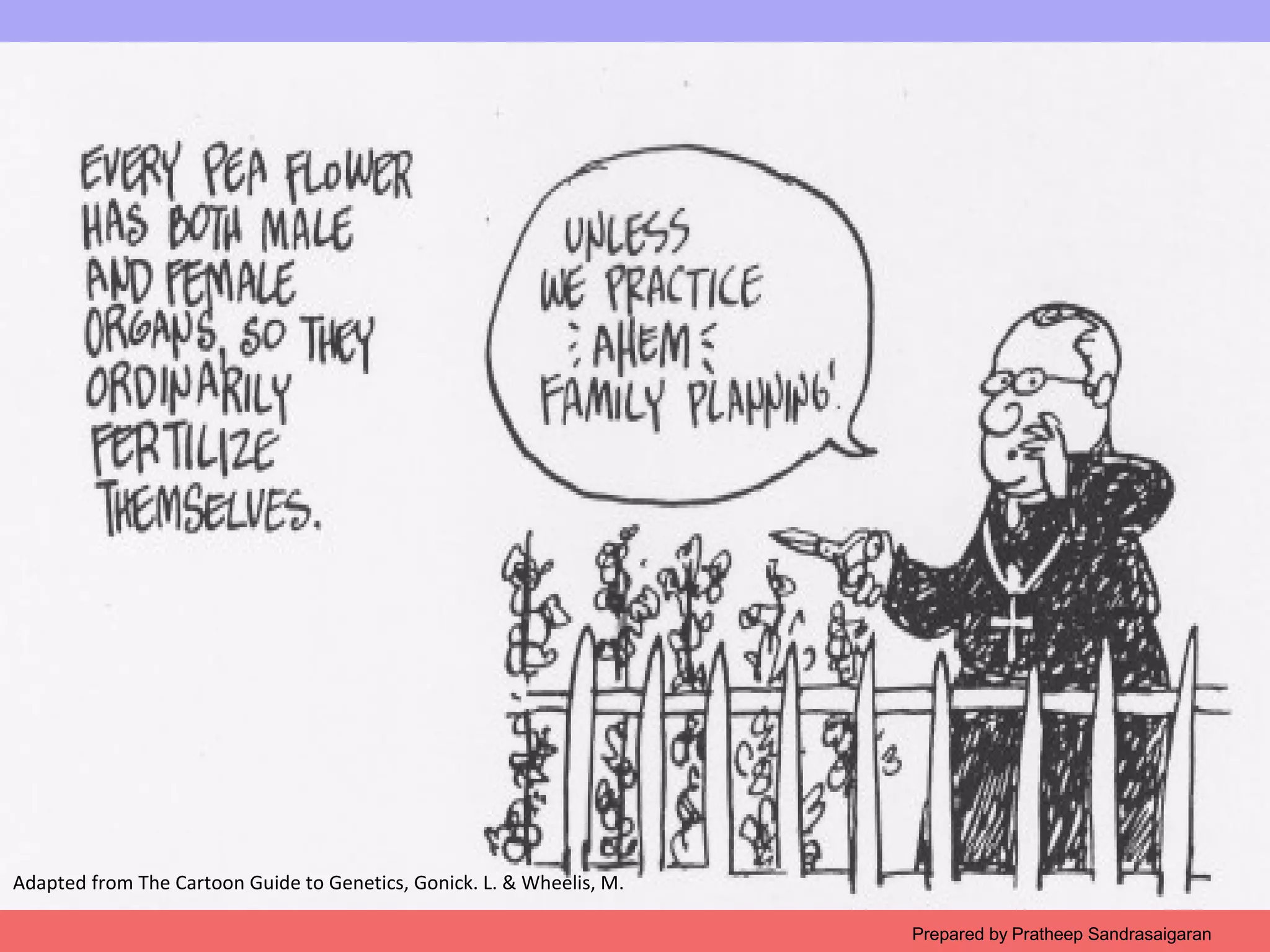 Ch1 introduction to genetics | PPT