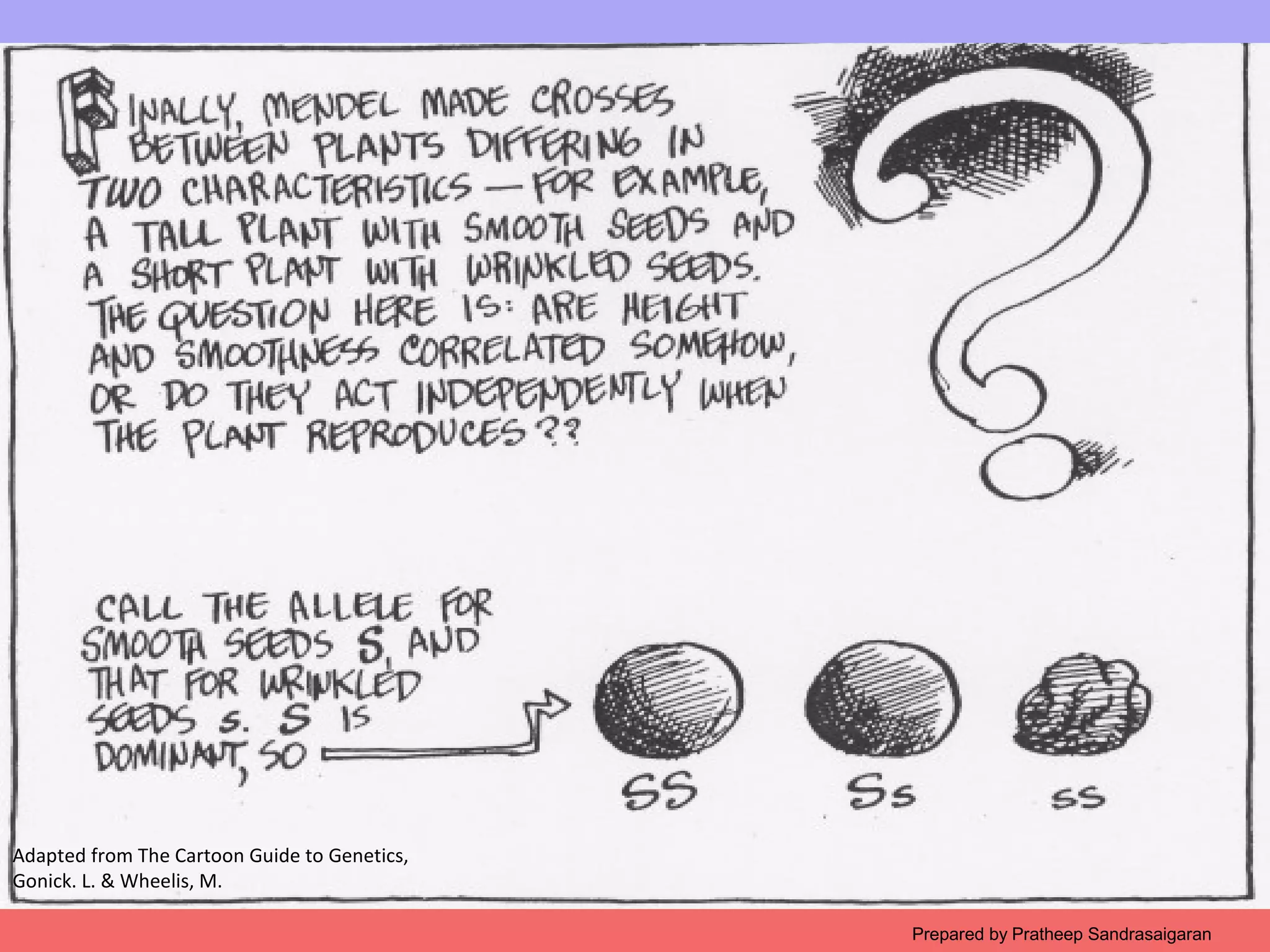 Ch1 introduction to genetics | PPT