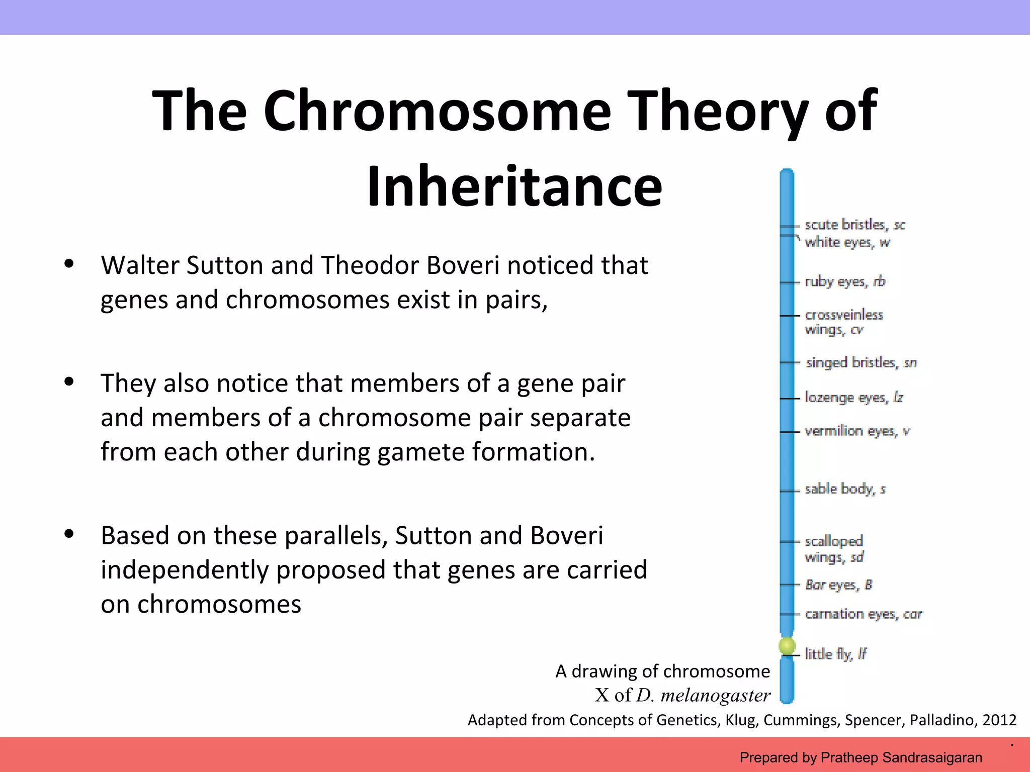 Ch1 introduction to genetics | PPT