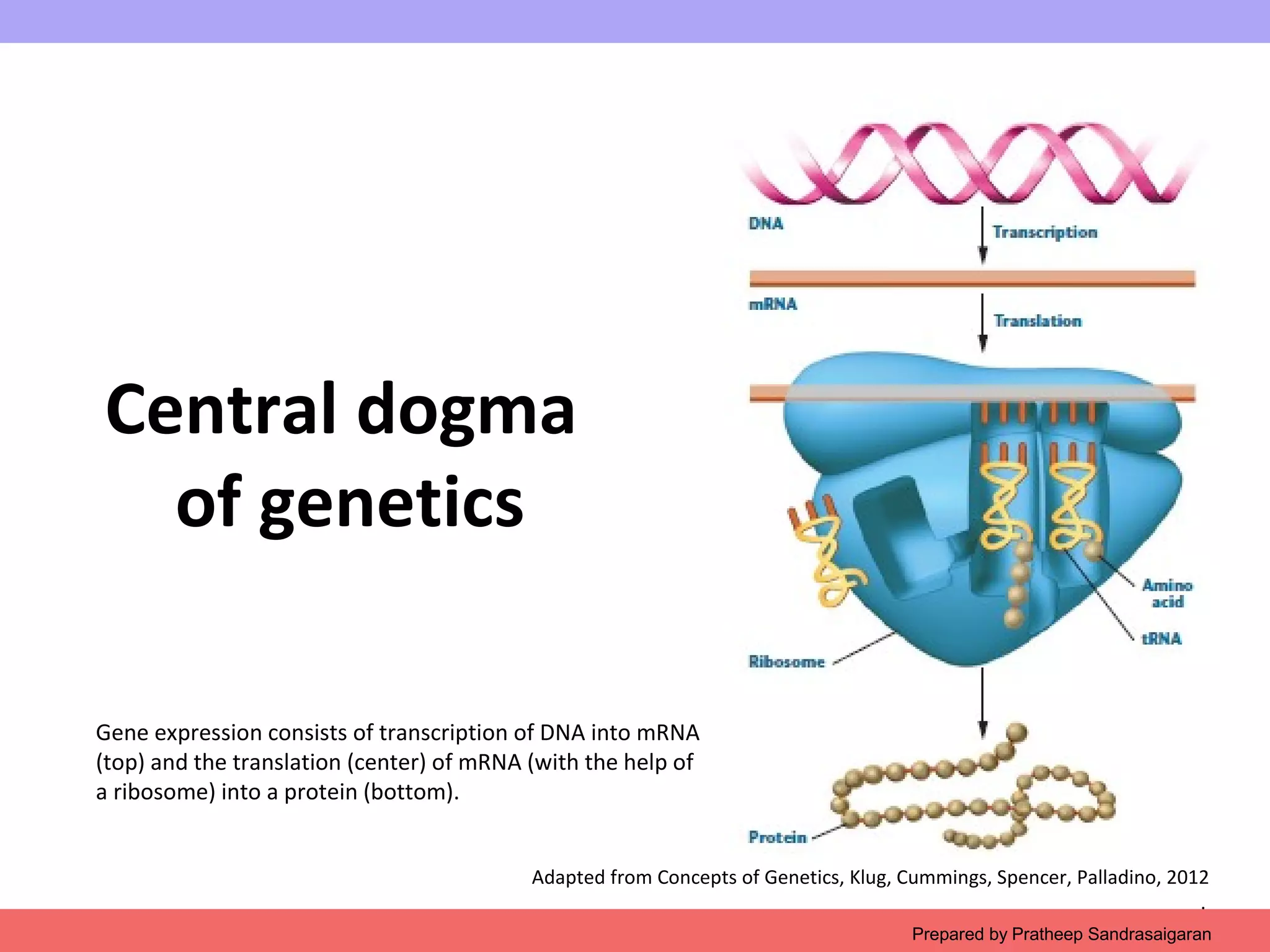 Ch1 introduction to genetics | PPT