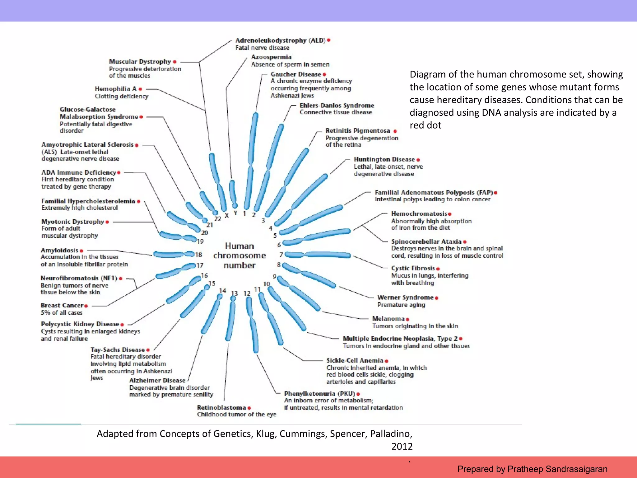 Ch1 introduction to genetics | PPT