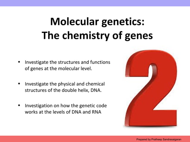 Ch1 introduction to genetics | PPT