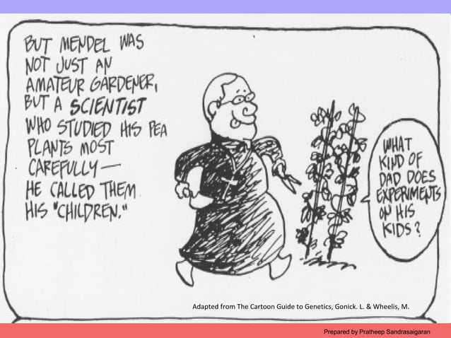 Ch1 introduction to genetics | PPT