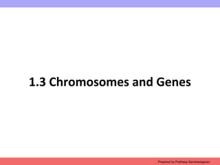 Ch1 introduction to genetics | PPT