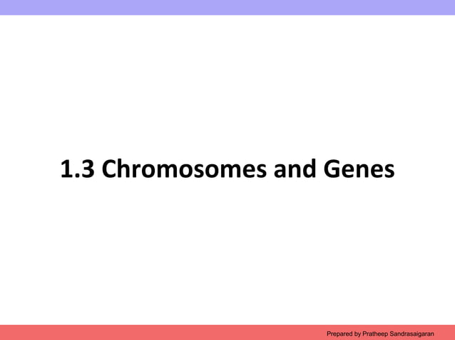 Ch1 introduction to genetics | PPT