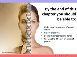 Ch1 introduction to genetics | PPT