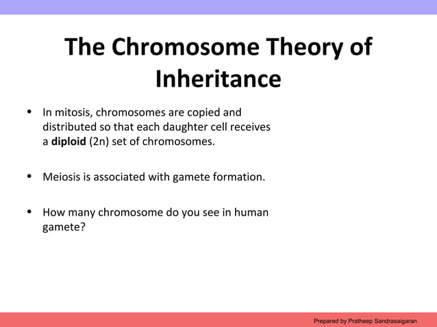 Ch1 introduction to genetics | PPT