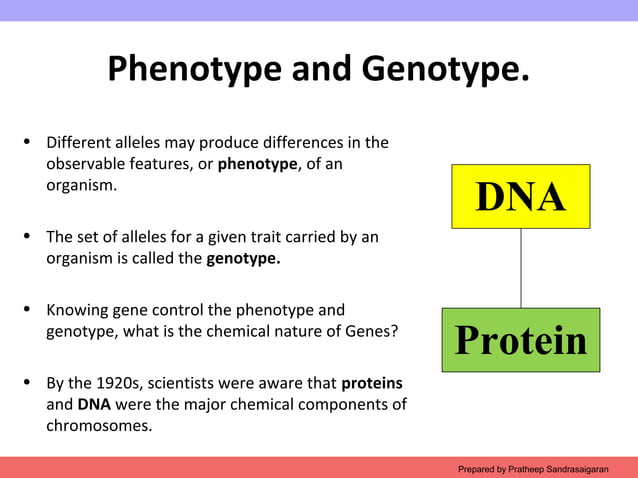Ch1 introduction to genetics | PPT