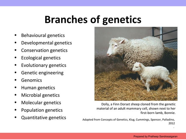 Ch1 introduction to genetics | PPT