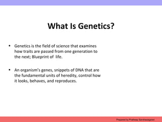 Ch1 introduction to genetics | PPT