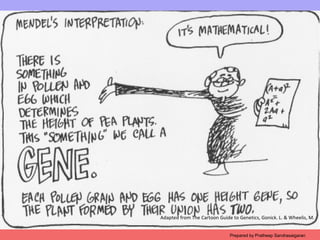 Mendel Genetics Comic
