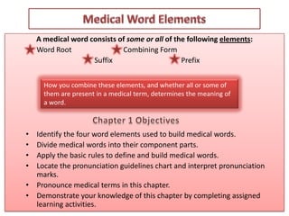 Chapter 1: Basic Elements of a Medical Word | PPTX
