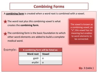 Chapter 1: Basic Elements of a Medical Word | PPTX