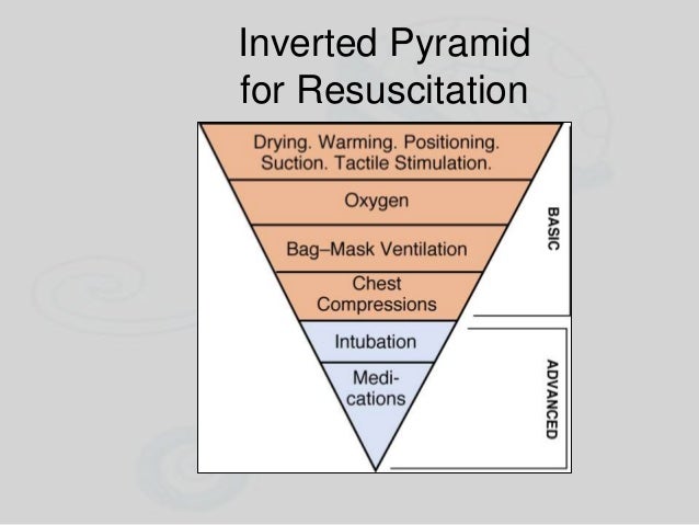 Inverted Pyramid Of Neonatal Resuscitation Improving The