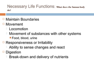 Chapter 1: The Human Body - An Orientation | PPT