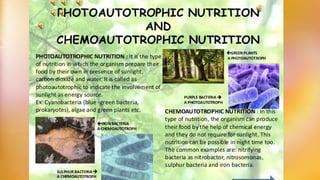 Ch 1 Nutrition in plants and modes of Nutrition .pptx