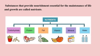 Ch 1 Nutrition in plants and modes of Nutrition .pptx