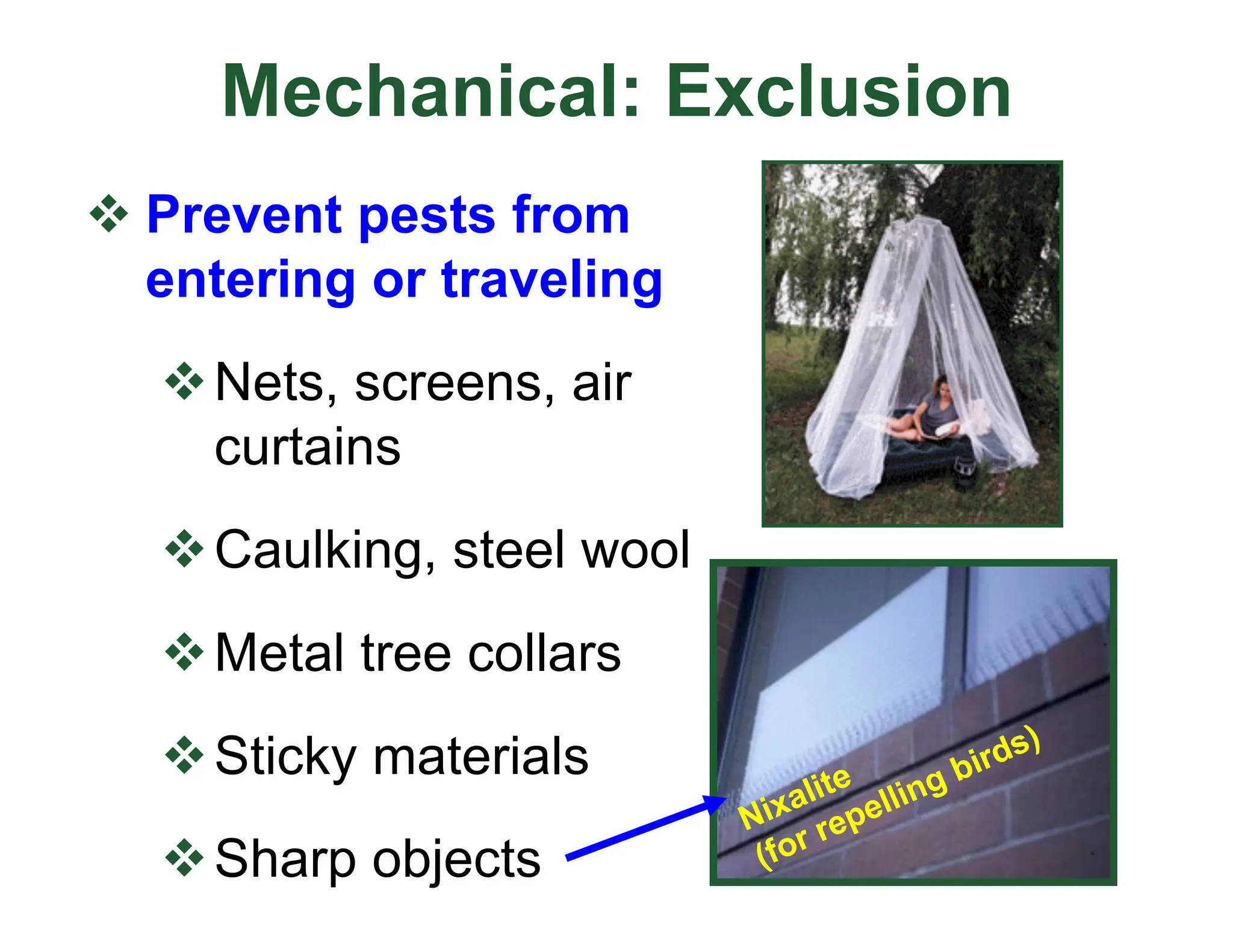 Pest Management and Control PowerPoint presentation | PDF