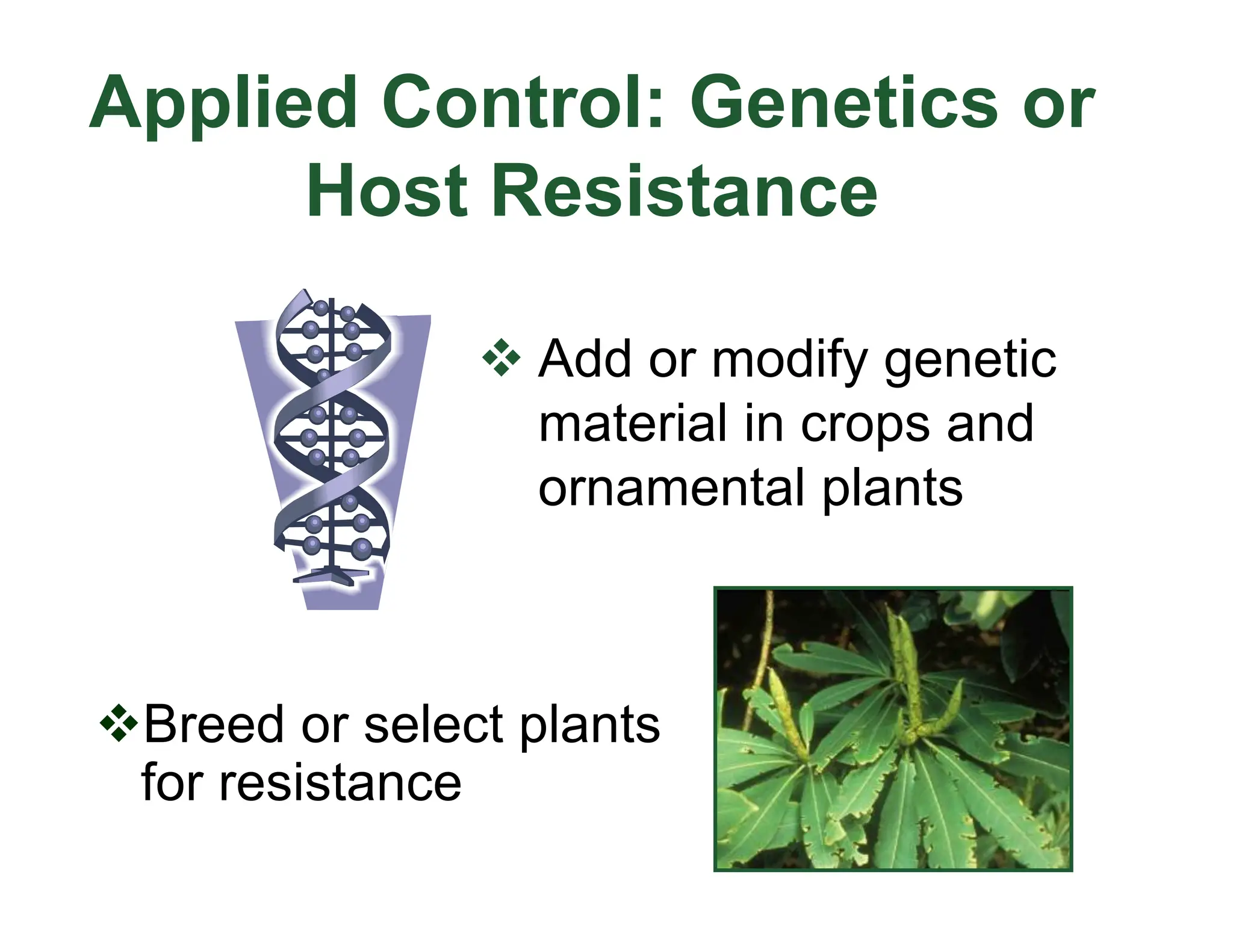 Pest Management and Control PowerPoint presentation | PDF