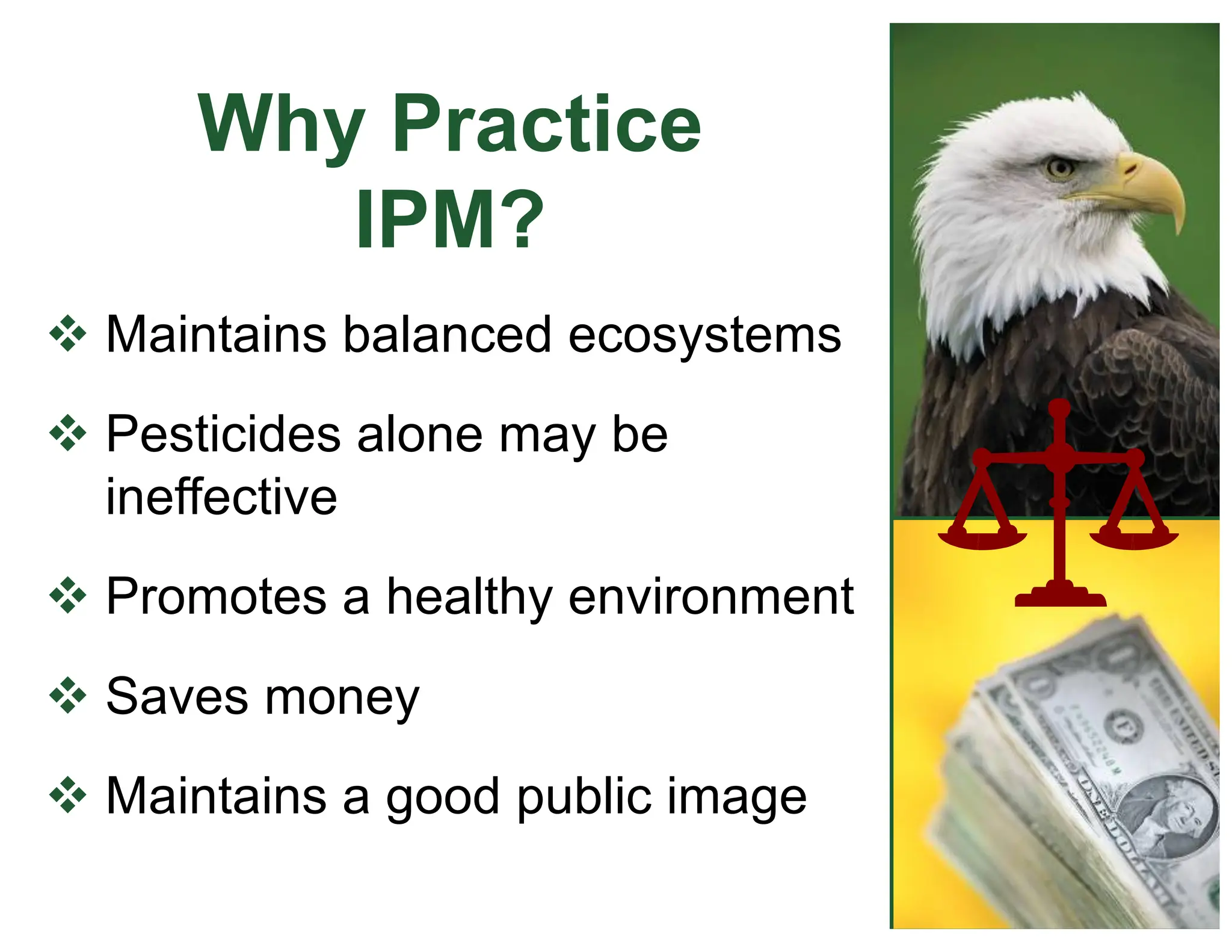 Pest Management and Control PowerPoint presentation | PDF