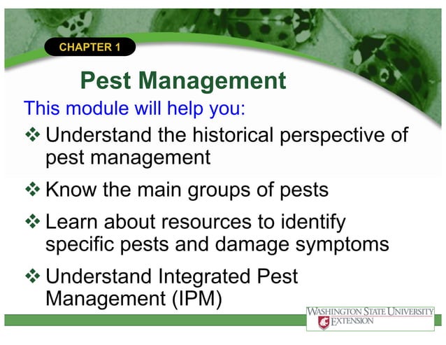 Pest Management and Control PowerPoint presentation | PDF