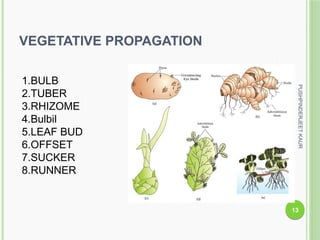 Ch 1 reproduction in organism | PDF