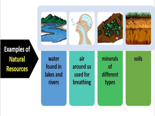 RESOURCES CLASS 8 | PPTX