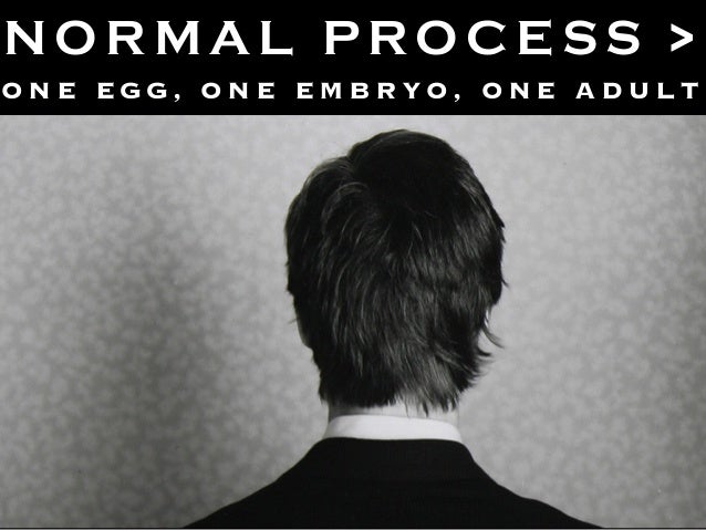 BRAVE NEW WORLD: CHAPTER 1 SUMMARY