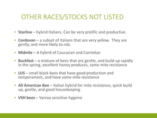 Ch 1 The Place of the Honey Bee in the World by Dr. Kristen Healy ...