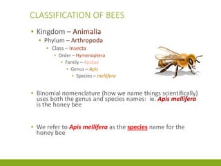 Ch 1 The Place of the Honey Bee in the World by Dr. Kristen Healy ...