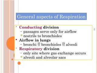 ch Upper respiratory tract.finished.pptx