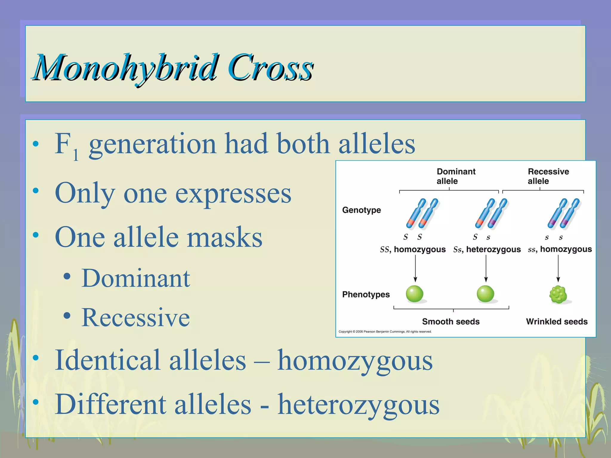 mendelian genetics | PPT | Genetics | Science