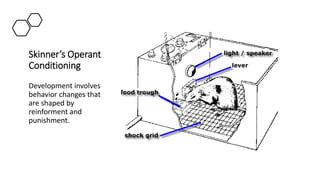 Theories of Development Psychology Powerpoint | PPTX